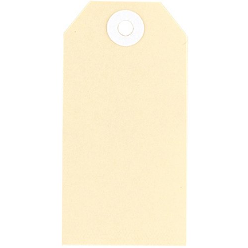 Shipping Tags - Avery - Size 5 - Buff - Pack of 100 | Skout Office Supplies
