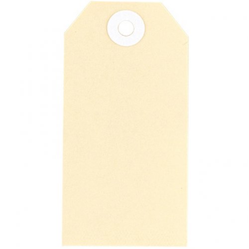 Shipping Tags - Avery - Size 3 - 96x48mm - Buff - Box of 1000 | Skout ...