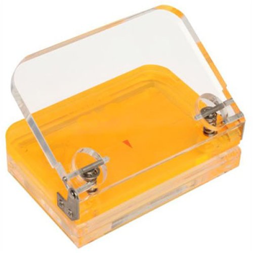 2 Hole Punch - Colourhide - Glo - My Glowing - Orange | Skout Office ...