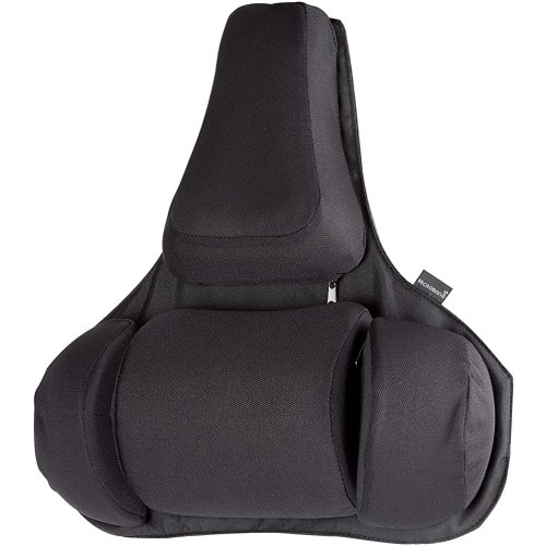 Back Support - Fellowes - Professional Series - 3 Section Lumbar ...