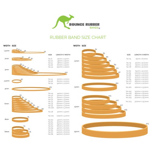 Rubber Bands - Bounce - Size 170 - 500gm | Skout Office Supplies