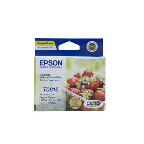 Epson 81N HY Light Cyan Ink | Skout Office Supplies