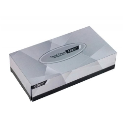 Tissues 2ply (Box of 100) | Skout Office Supplies